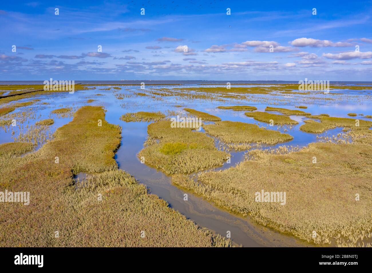 Marshland national park hi-res stock photography and images - Alamy