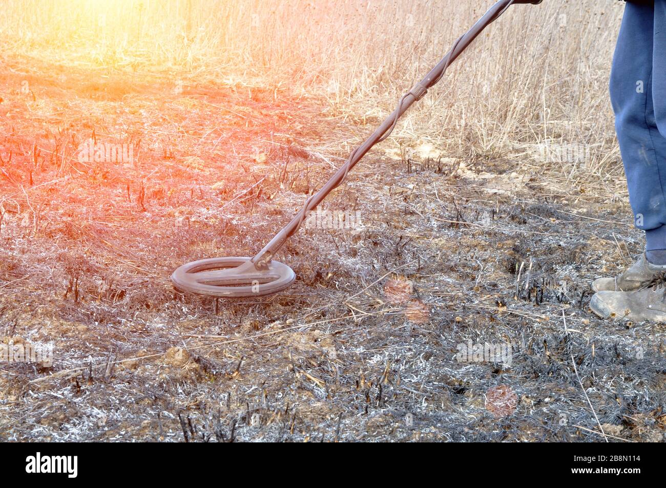 Metal detector. Search for metal artifacts on a field with damaged ...