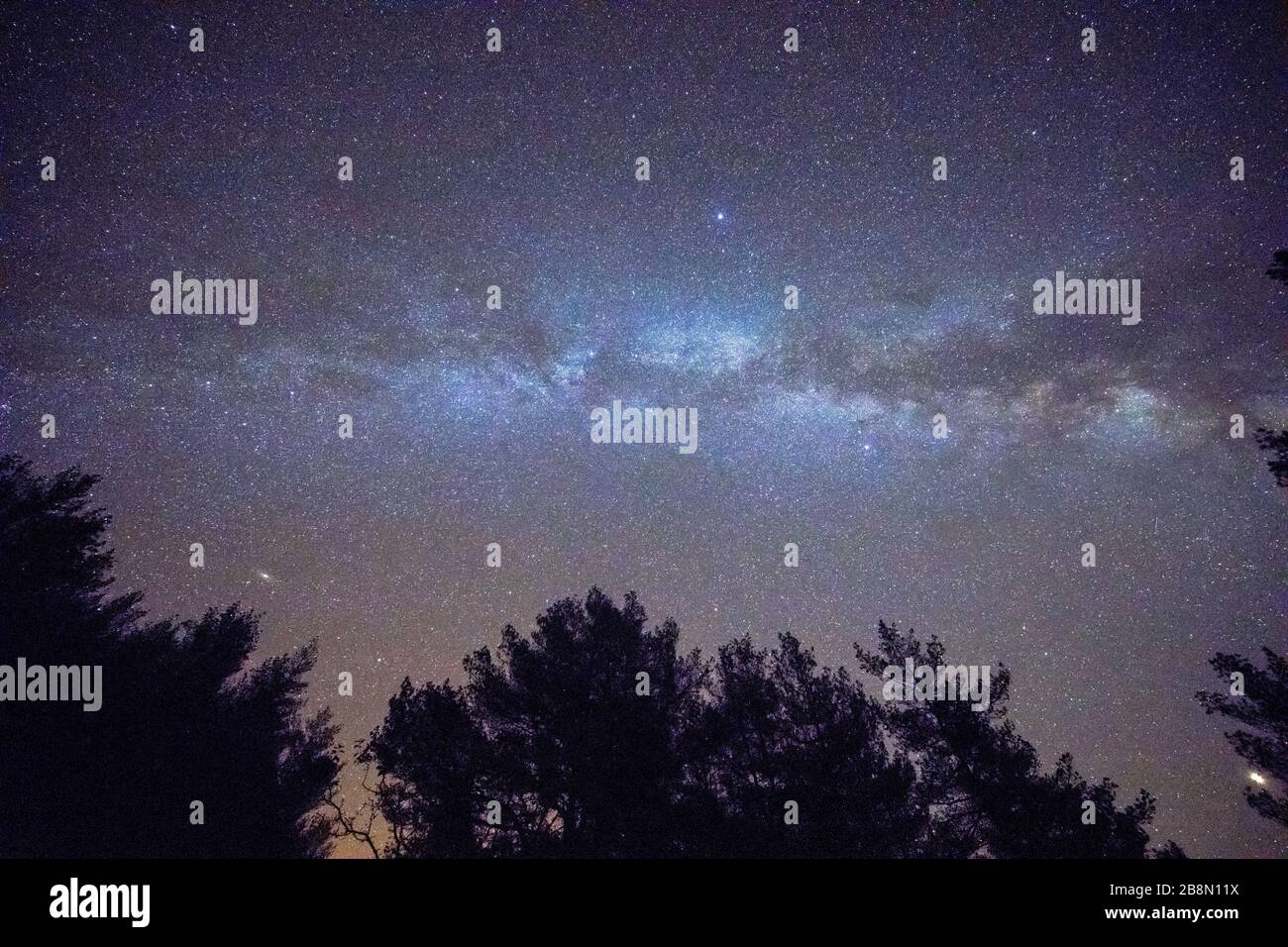 Milky way trees astrophotography forest hi-res stock photography and ...