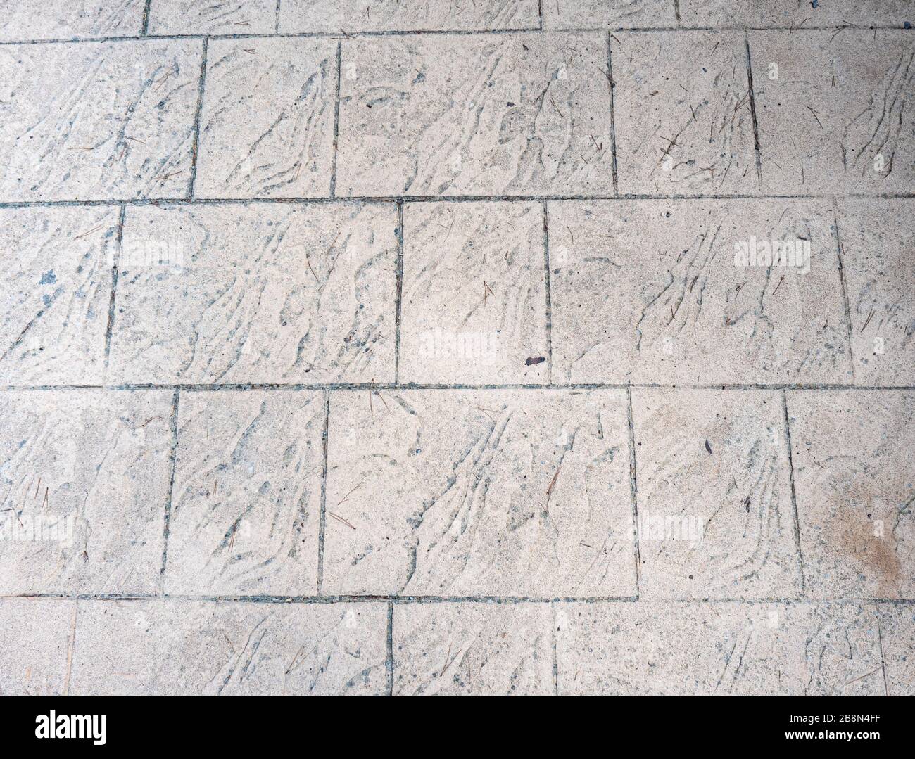 Old castle marble wall. Natural marble stones in old castle hall ...