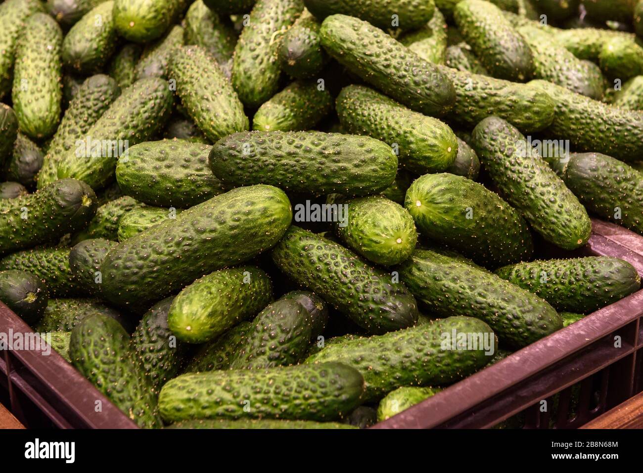 Cucumber purchase hi-res stock photography and images - Alamy