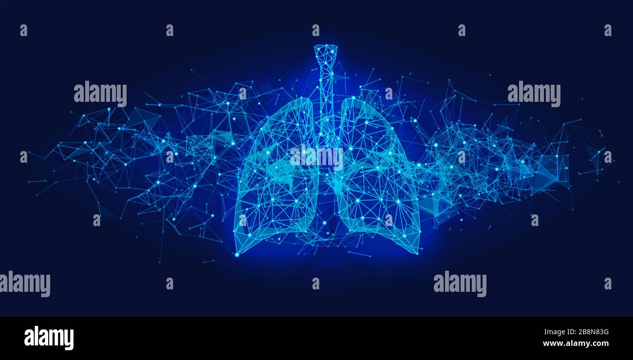 Lungs Anatomy Medical Wallpaper