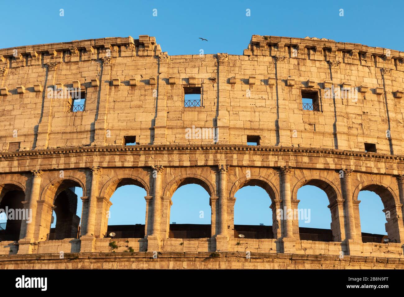 Front view of the Colosseum in sunset light. Rome Italy. Horizontally ...