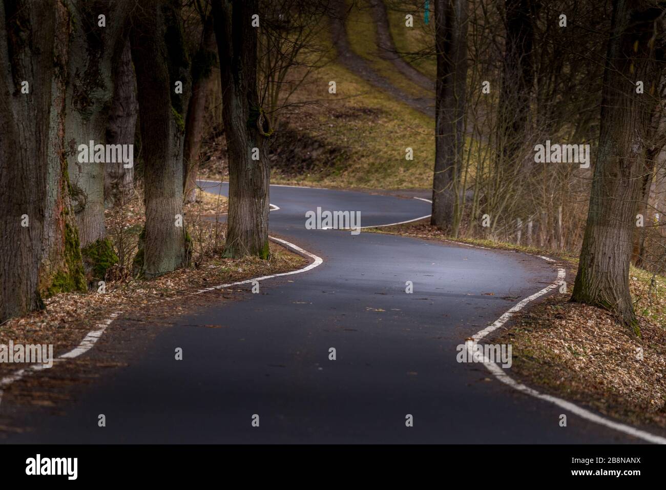 Dangerous curve road in hi-res stock photography and images - Alamy