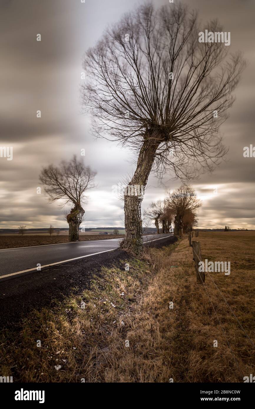 Straight asphalt road between trees with dramatic winter sky Stock ...