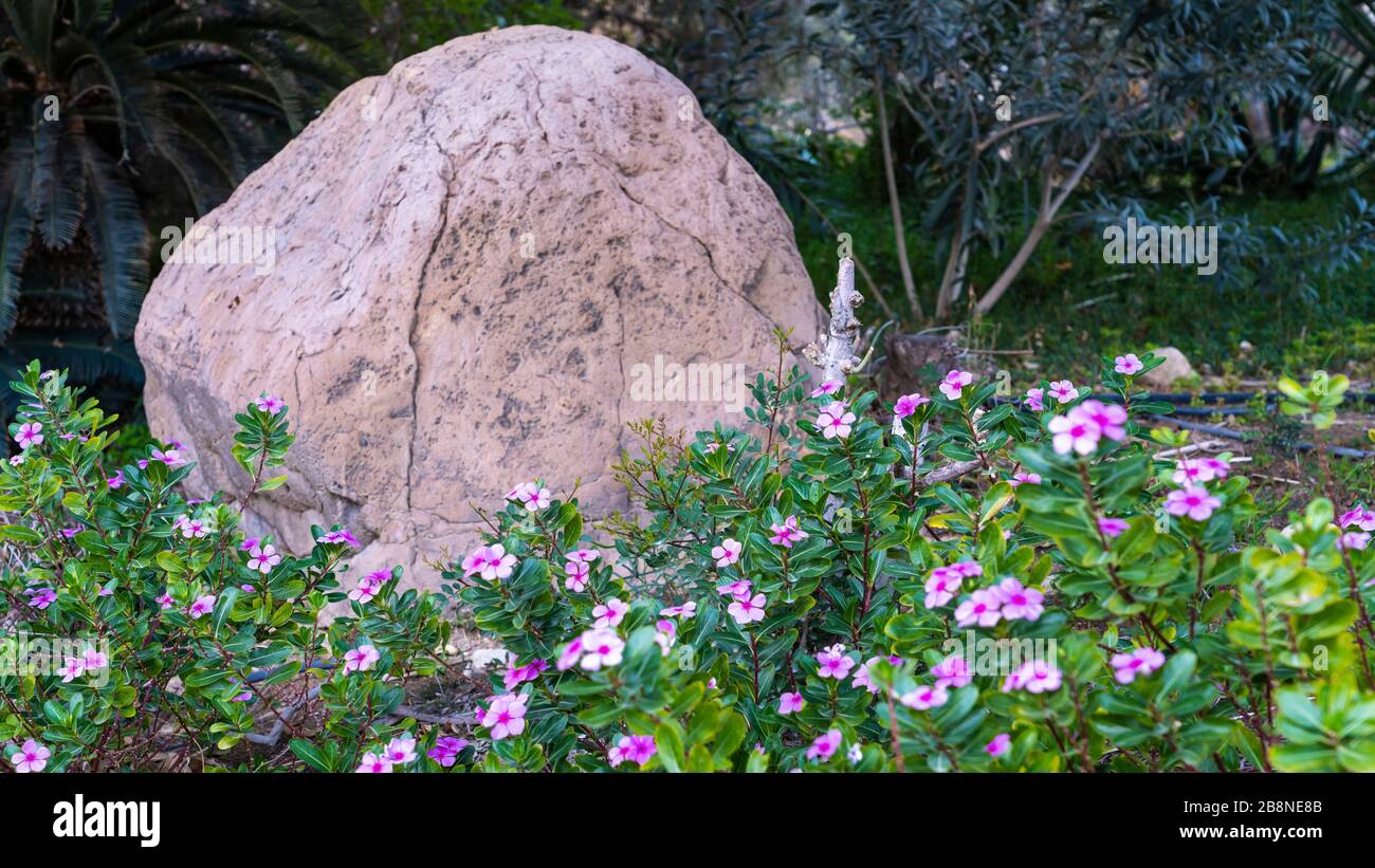En gedi kibbutz hi-res stock photography and images - Alamy