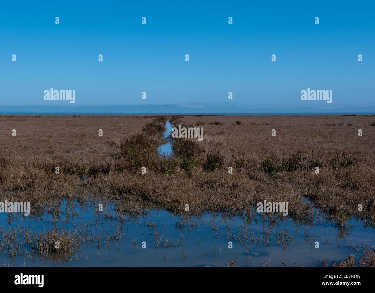 Salt Marsh at China Camp State Park, California, USA, on a blue sky and ...