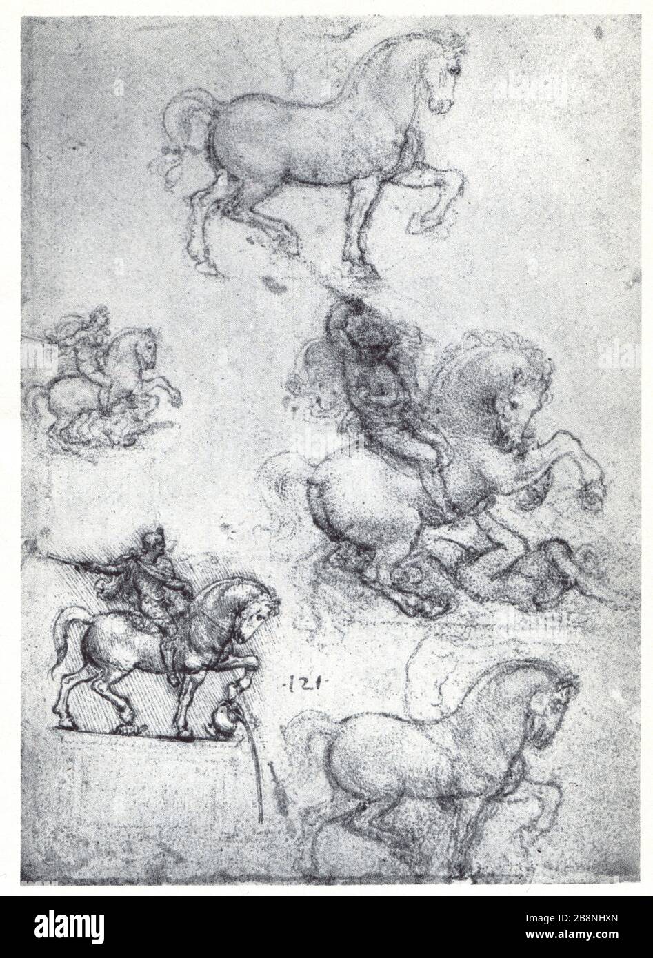 Leonardo da Vinci. Studies for the Trivulzio Monument. 1511-1512 Stock ...