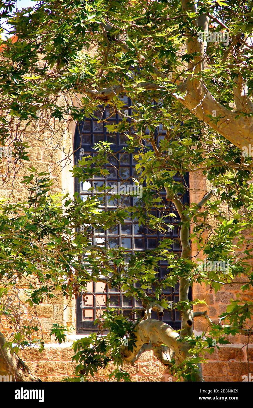 Window surrounded with nature, vines and branches Stock Photo - Alamy