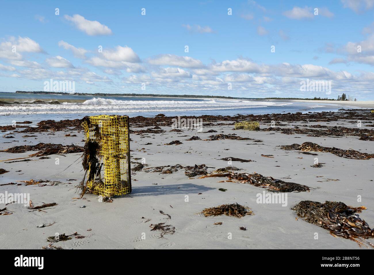 Damaged lobster cages strewn along beach after being ripped form seabed ...