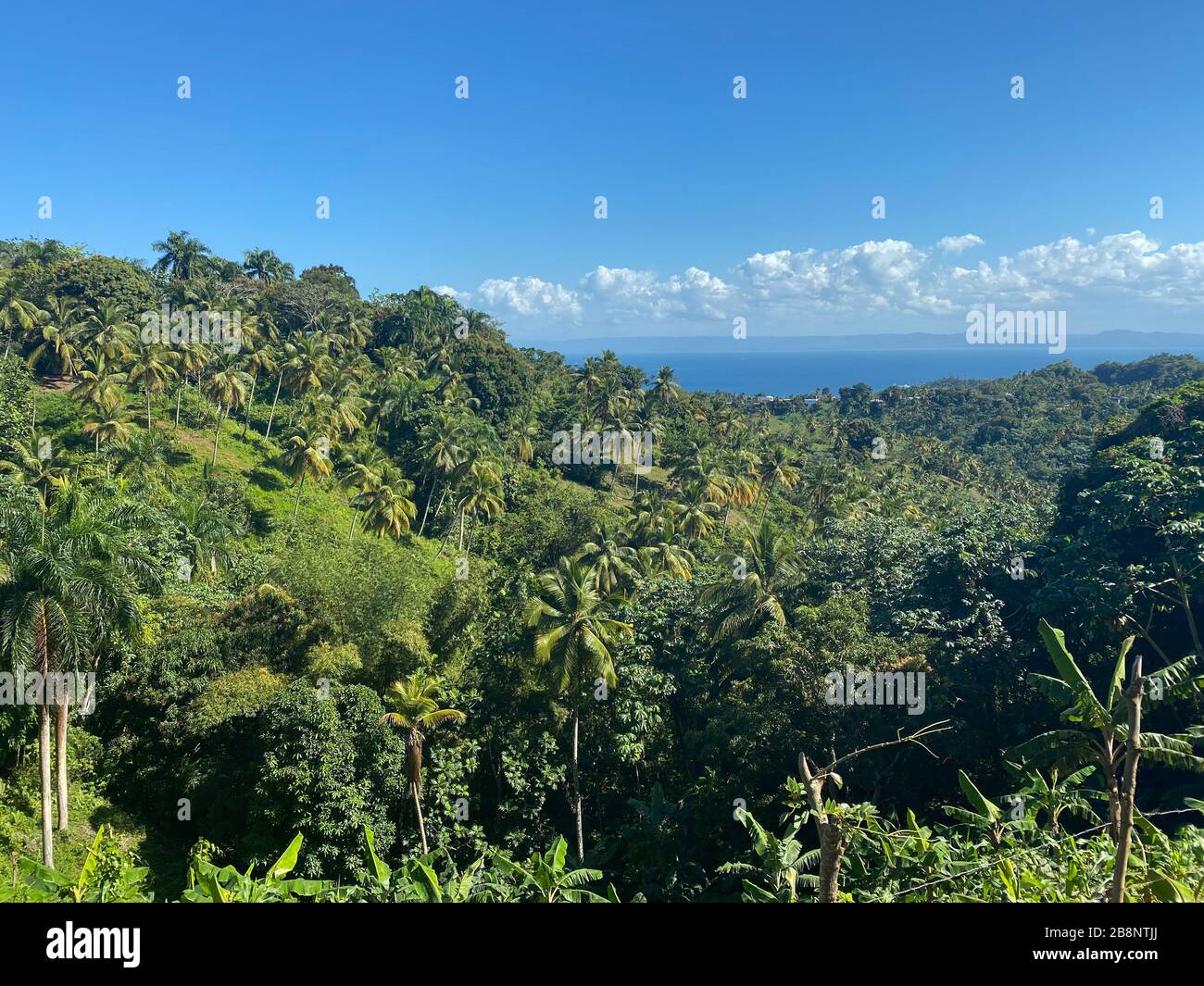 caribbean Islands in the sun Stock Photo - Alamy