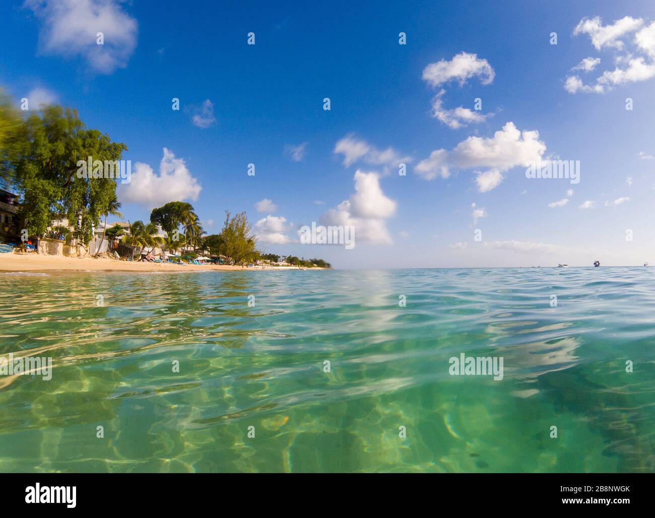 Lone star barbados hi-res stock photography and images - Alamy