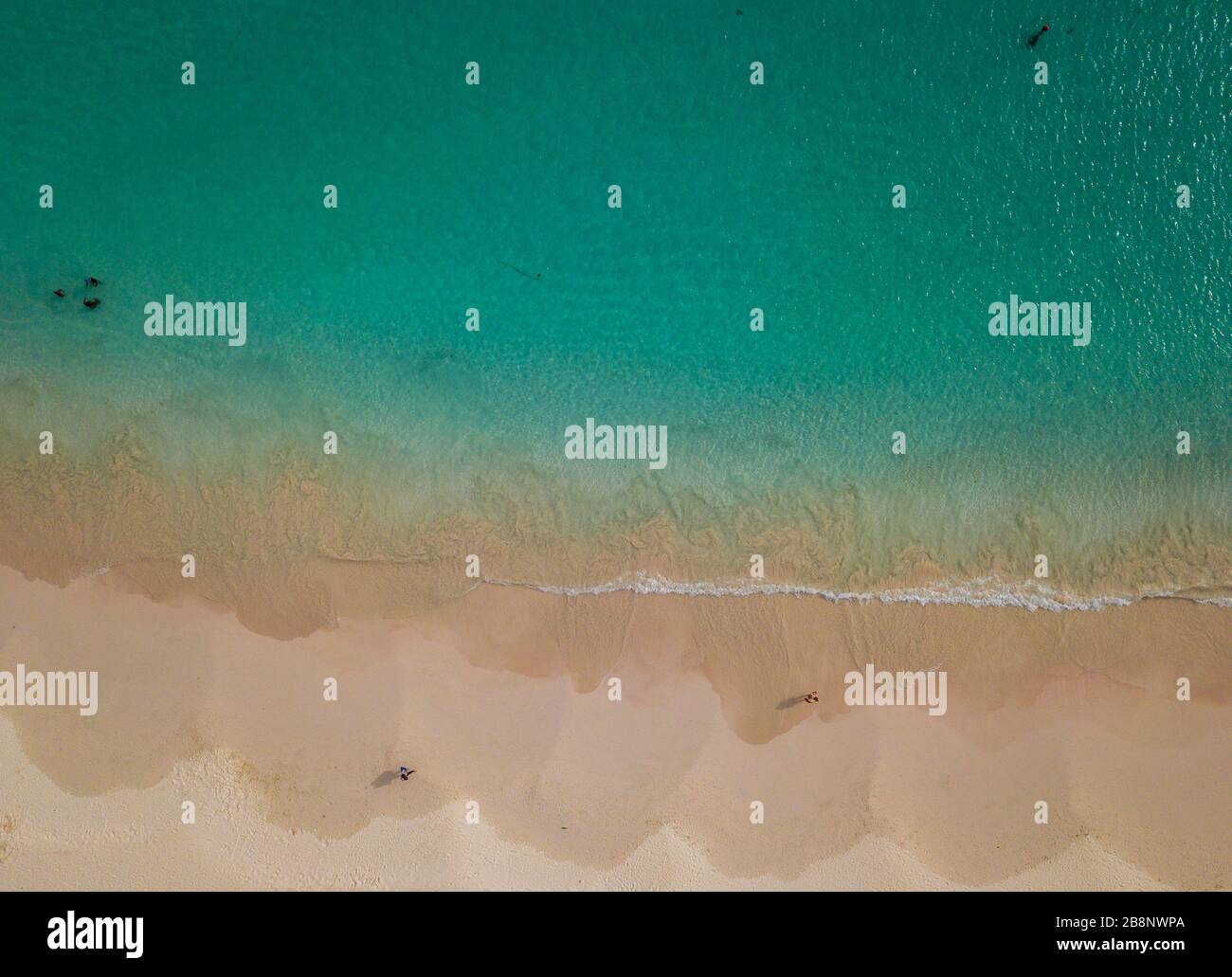 Lone star barbados hi-res stock photography and images - Alamy