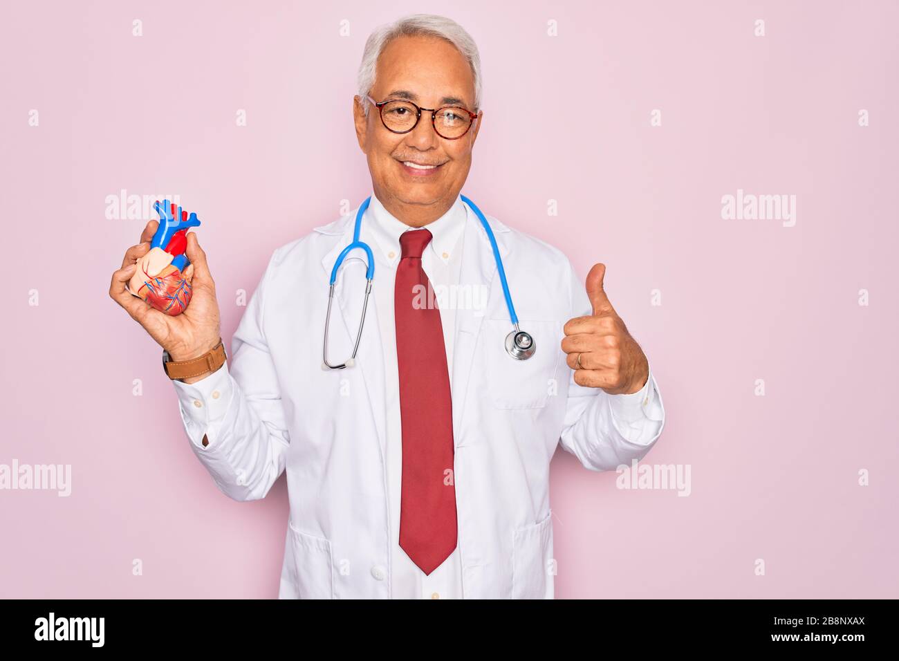 Middle age senior grey-haired cardiologist doctor man holding ...