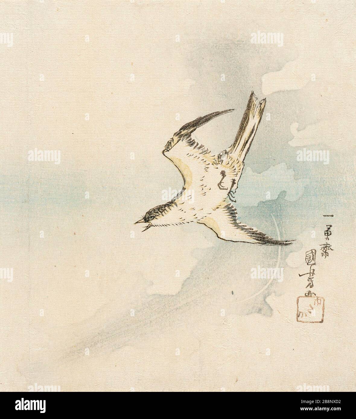 Carl bird hi-res stock photography and images - Alamy