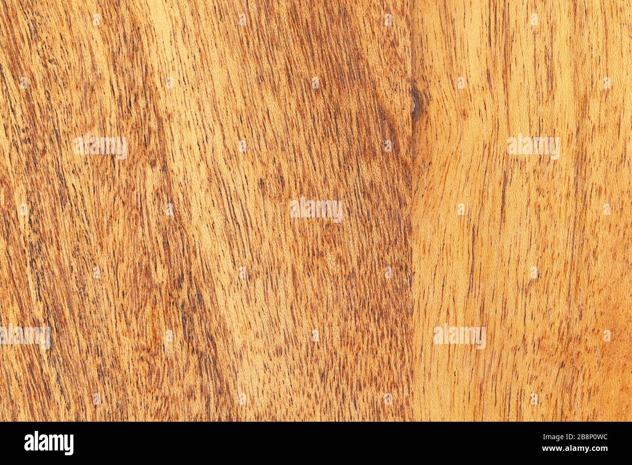 Natural acacia wood texture, wooden cut background. Zero waste, eco ...