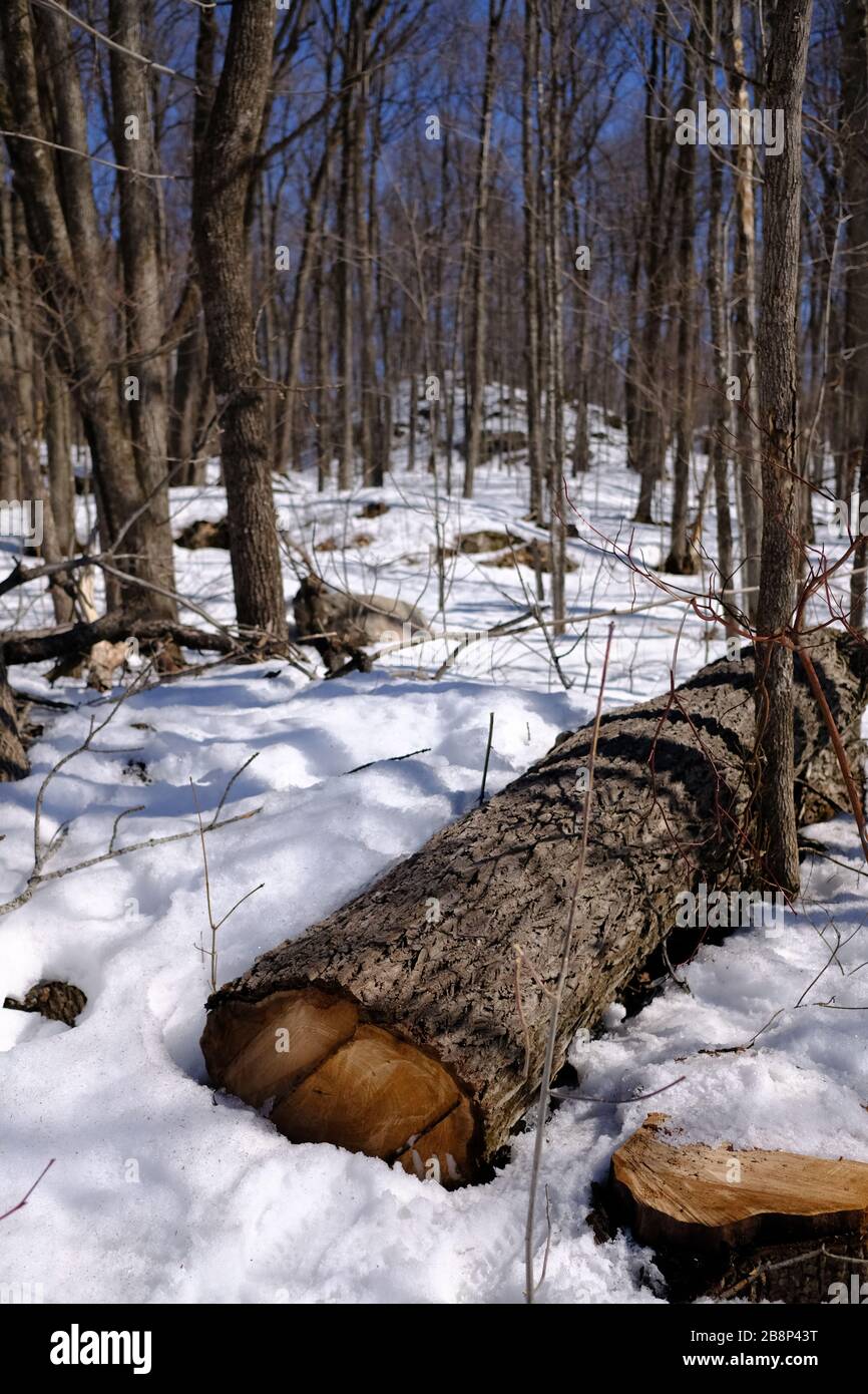 Lovely winters day weather hi-res stock photography and images - Alamy