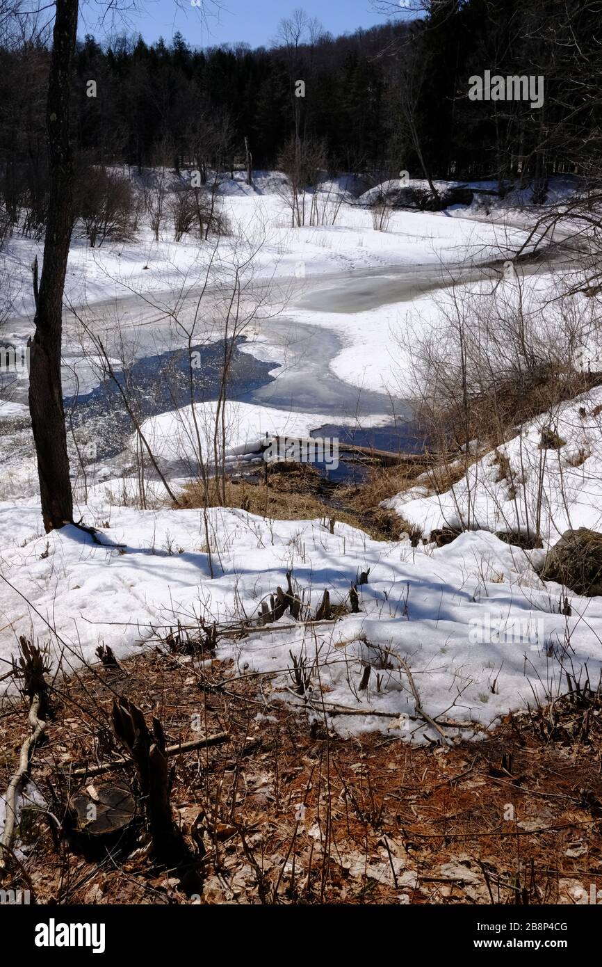 Spring melt on a beaver dammed small river / stream in Gatineau Park ...