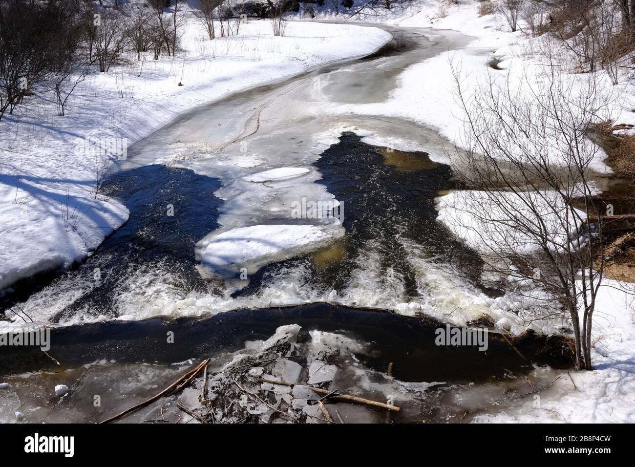 Spring melt on a beaver dammed small river / stream in Gatineau Park ...