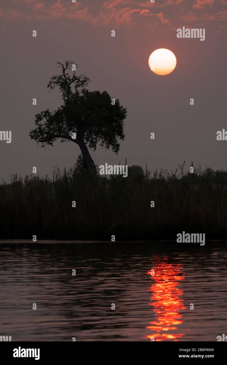 African sun setting hi-res stock photography and images - Alamy