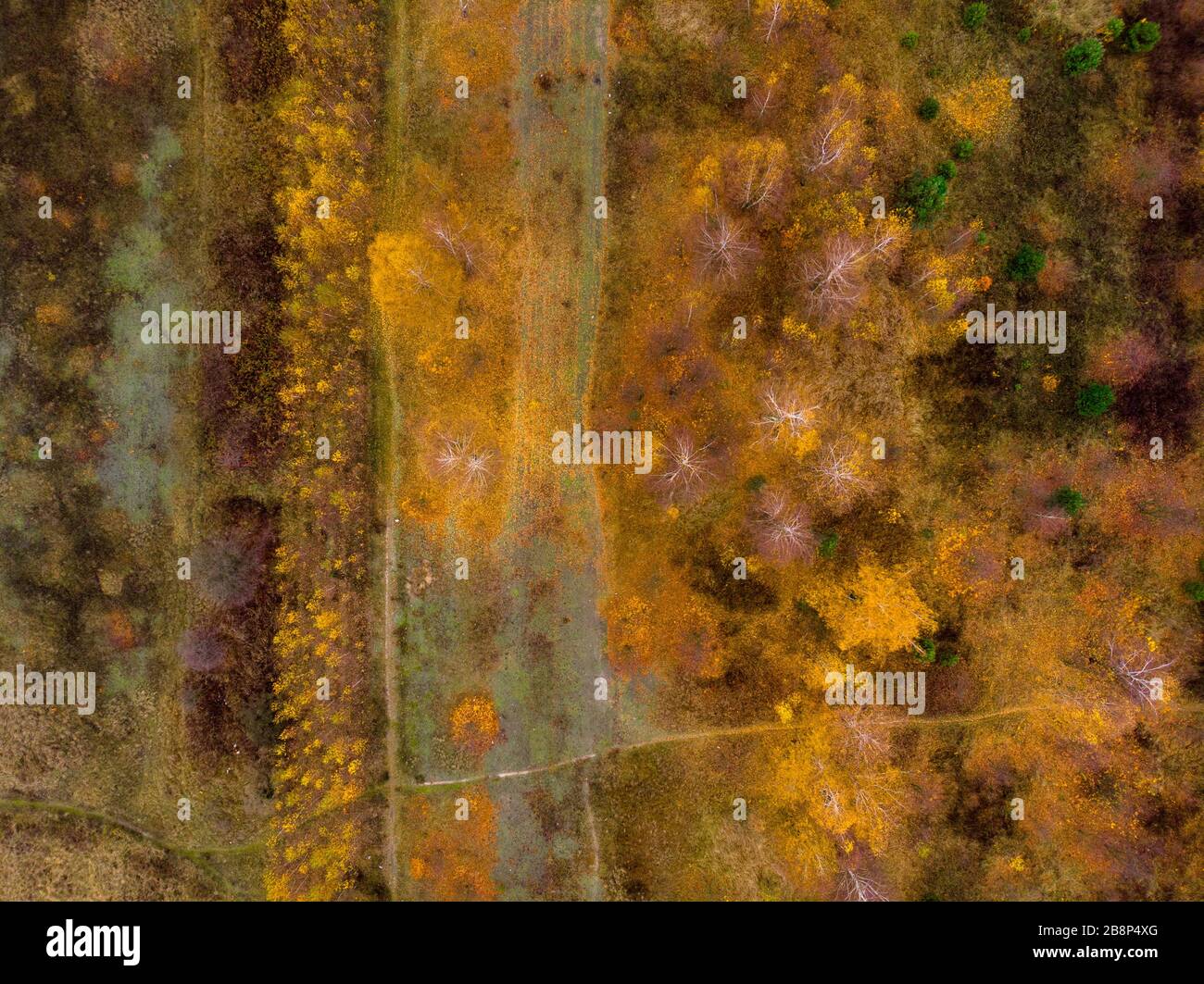 Autumn fields from above Stock Photo - Alamy