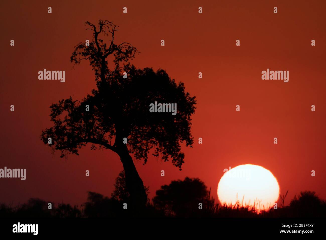 African sun setting hi-res stock photography and images - Alamy