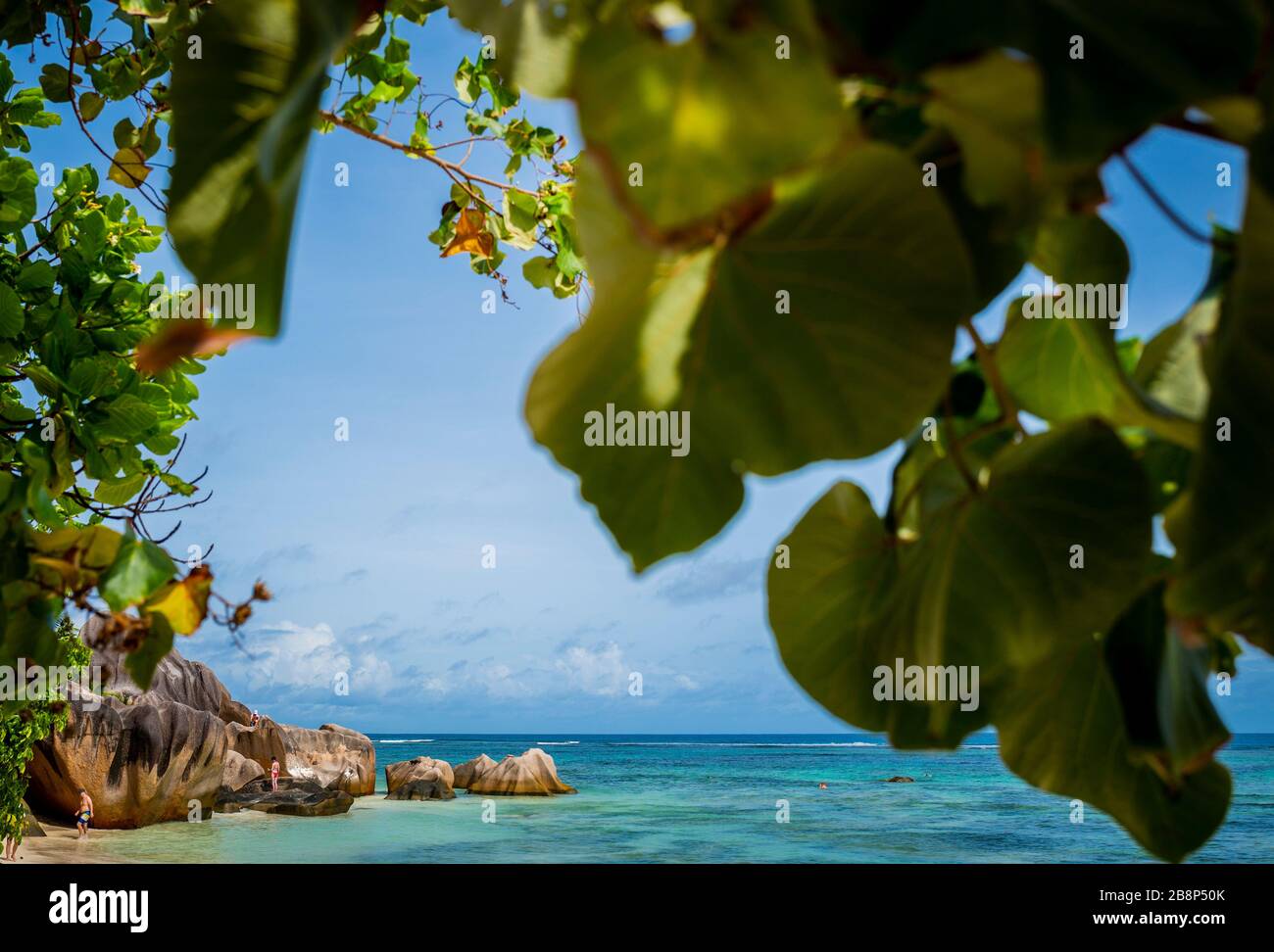 Daily Life, La Digue. La Digue is an island in the Seychelles, in the ...