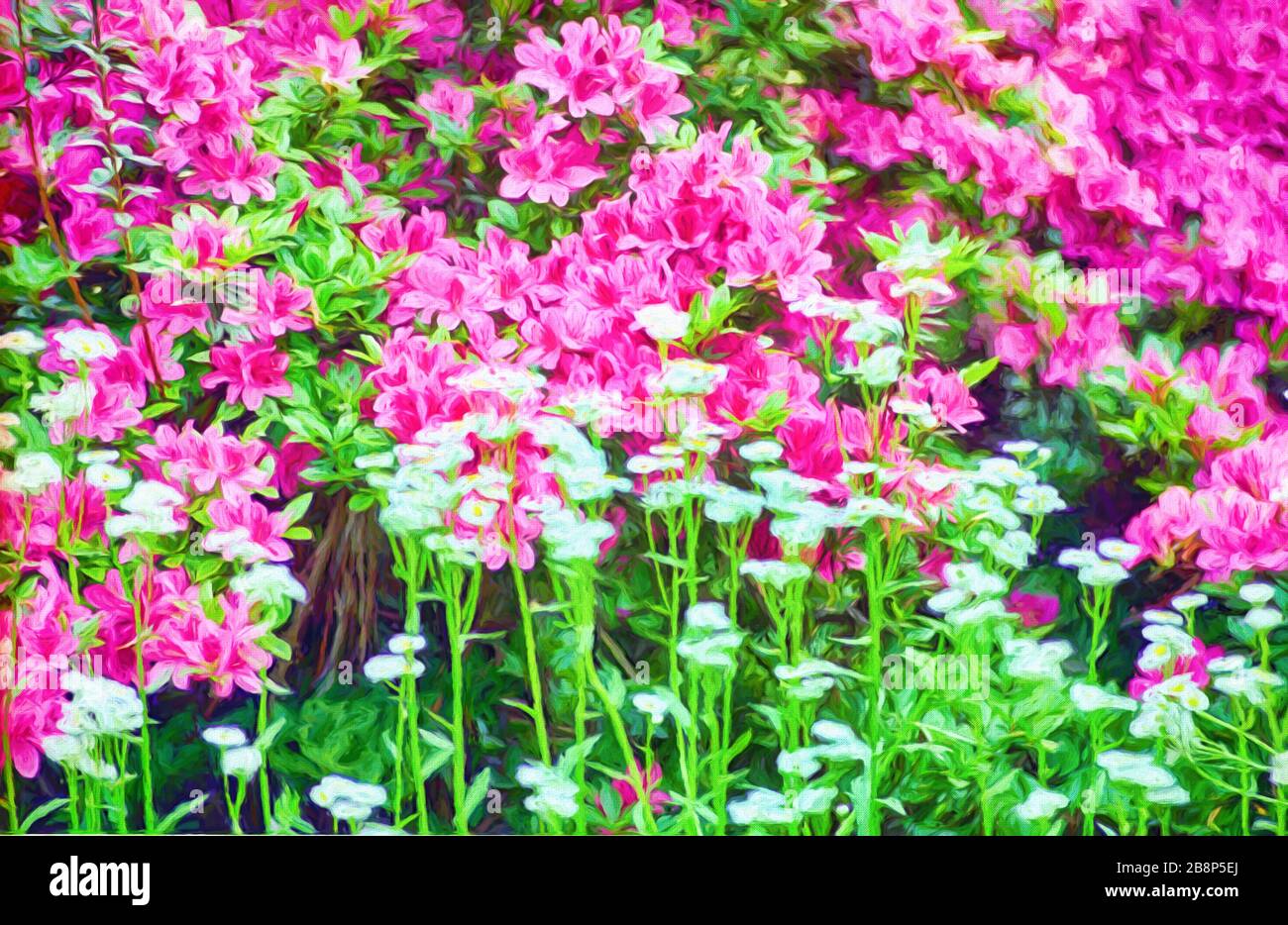 Azalea botanical illustration hi-res stock photography and images - Alamy