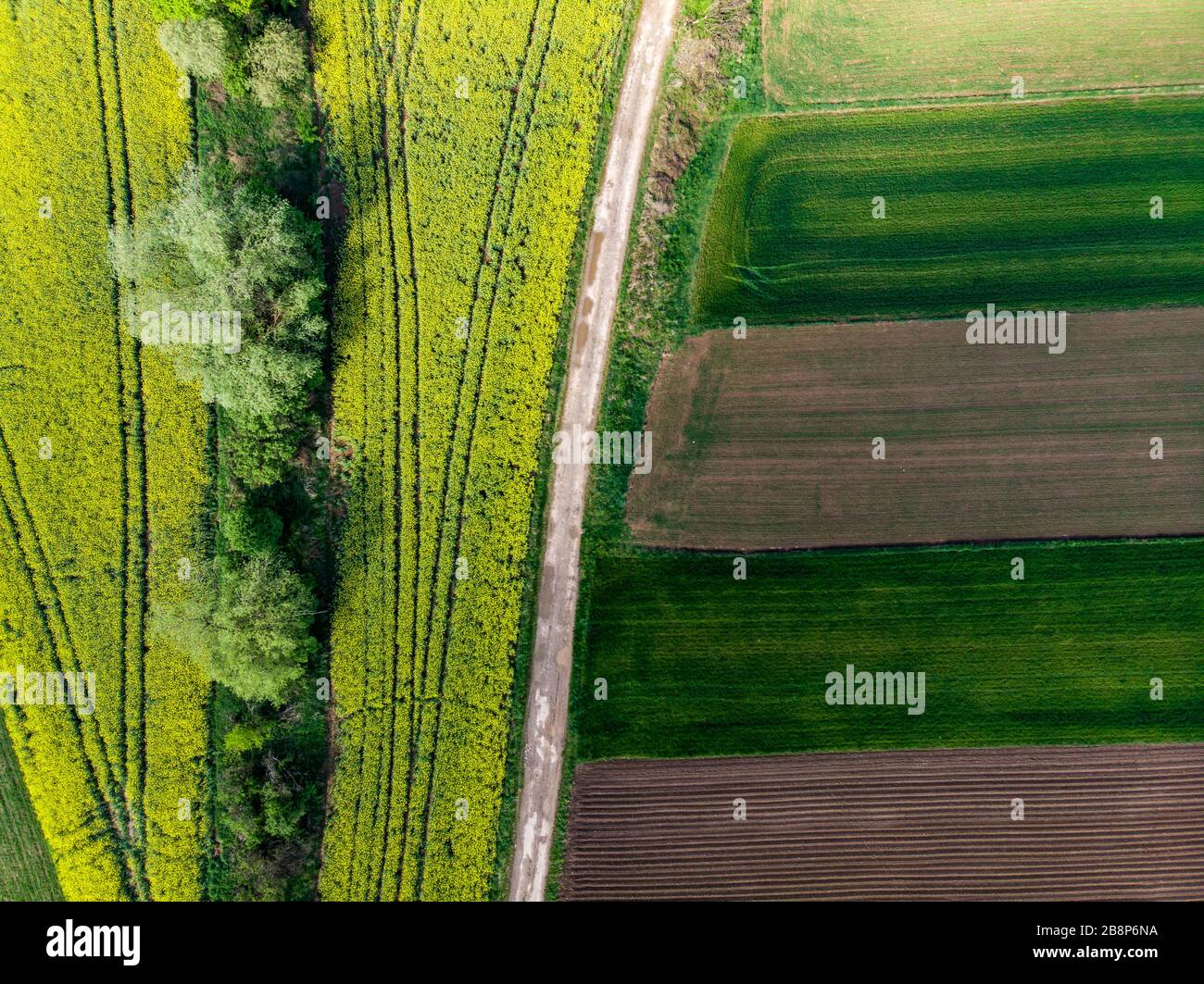 Colza aerial hi-res stock photography and images - Alamy