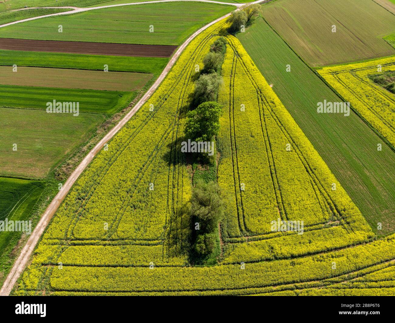 Colza aerial hi-res stock photography and images - Alamy