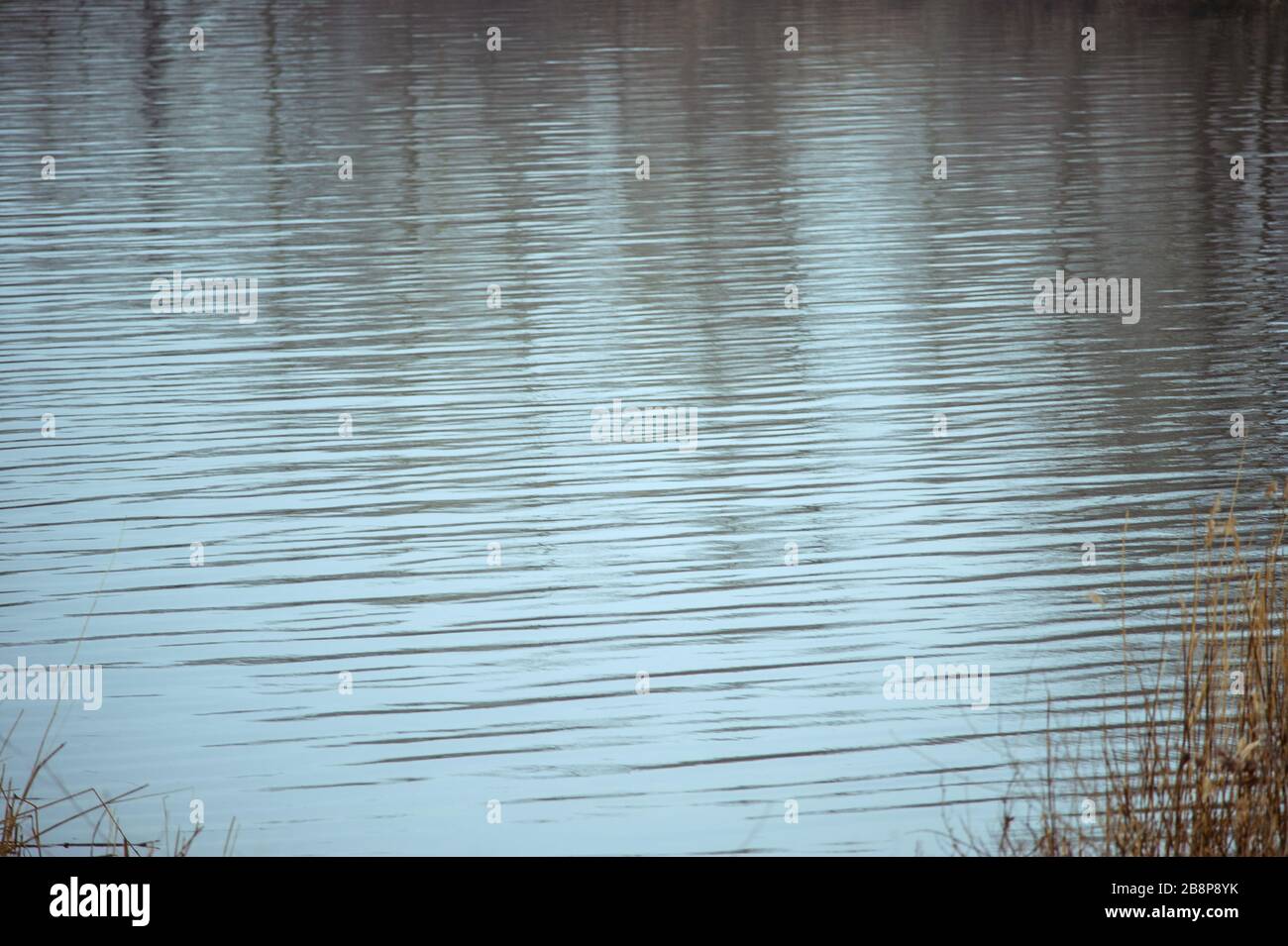 abstract water background. The texture of the water is a river or lake ...