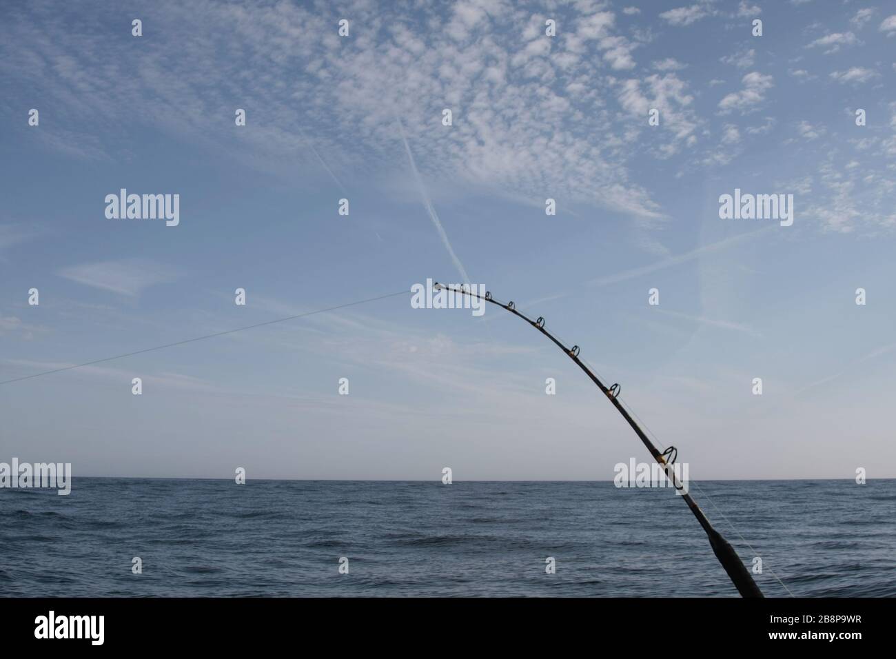 Fishing rods prepared for tuna fishing Stock Photo - Alamy