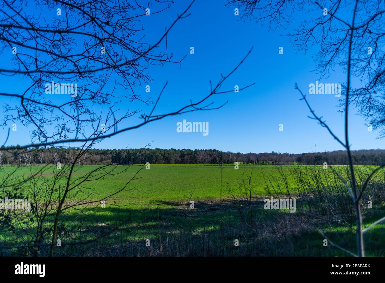 Beautiful shot field during hi-res stock photography and images - Alamy