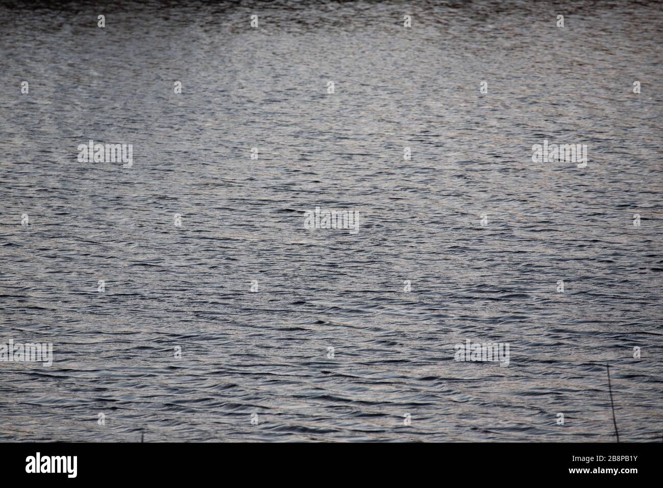 abstract water background. The texture of the water is a river or lake ...