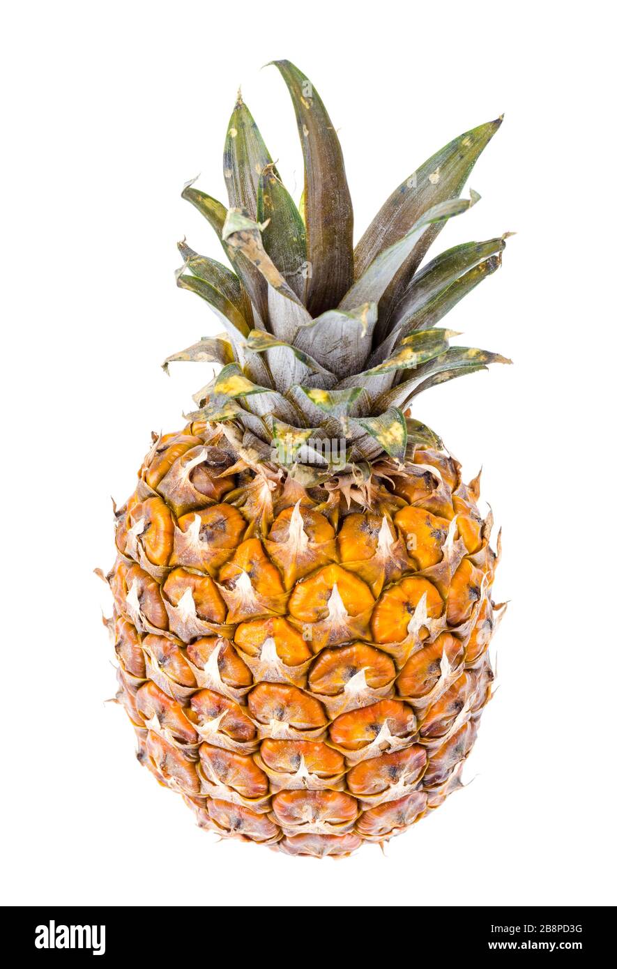 Small ripe pineapple isolated on white. Studio Photo Stock Photo - Alamy