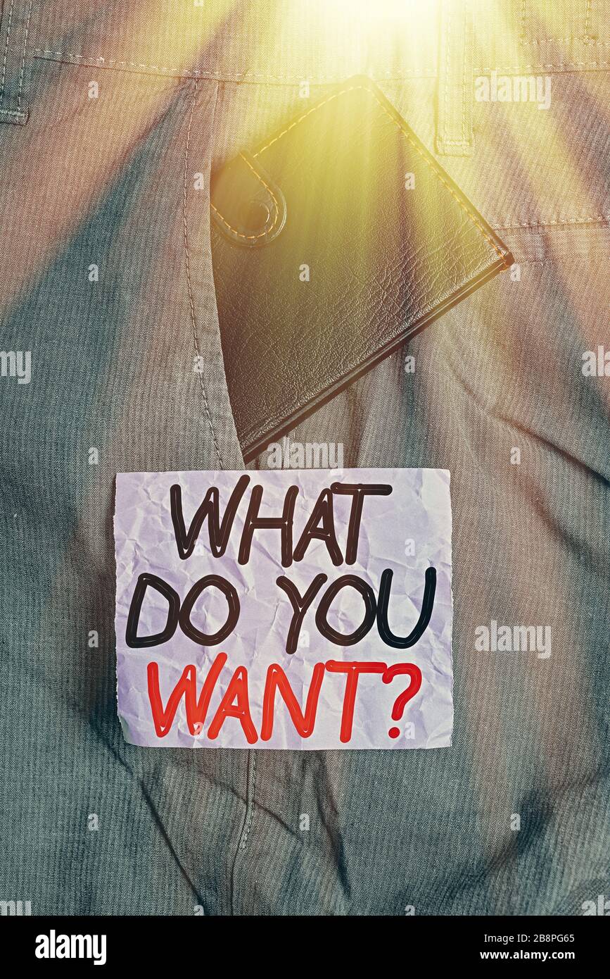 Conceptual hand writing showing What Do You Want Question. Concept ...