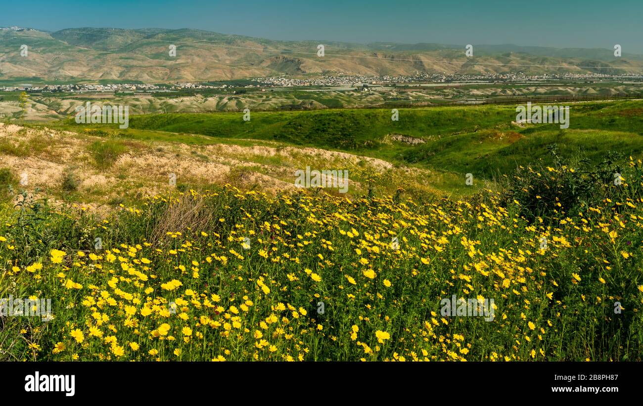 Jordan river valley hi-res stock photography and images - Alamy