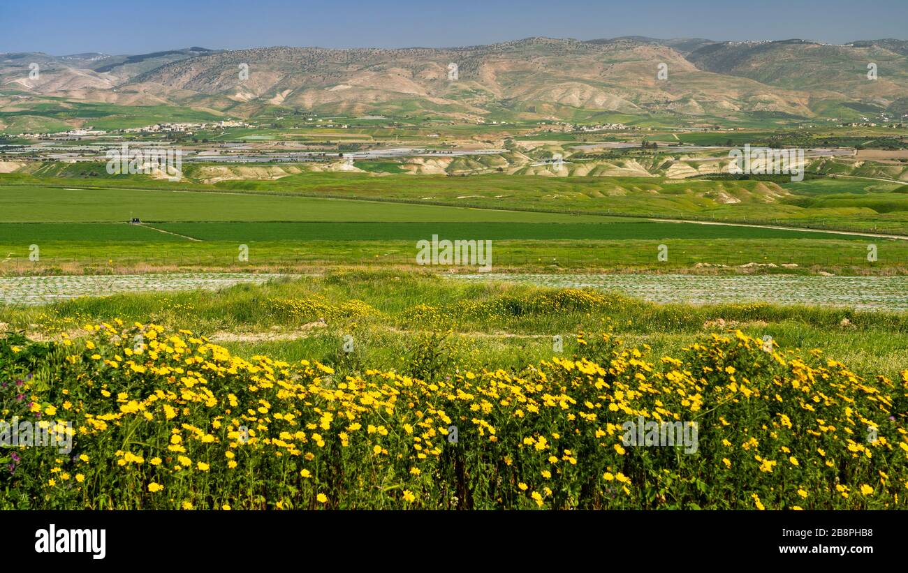 Jordan river valley hi-res stock photography and images - Alamy
