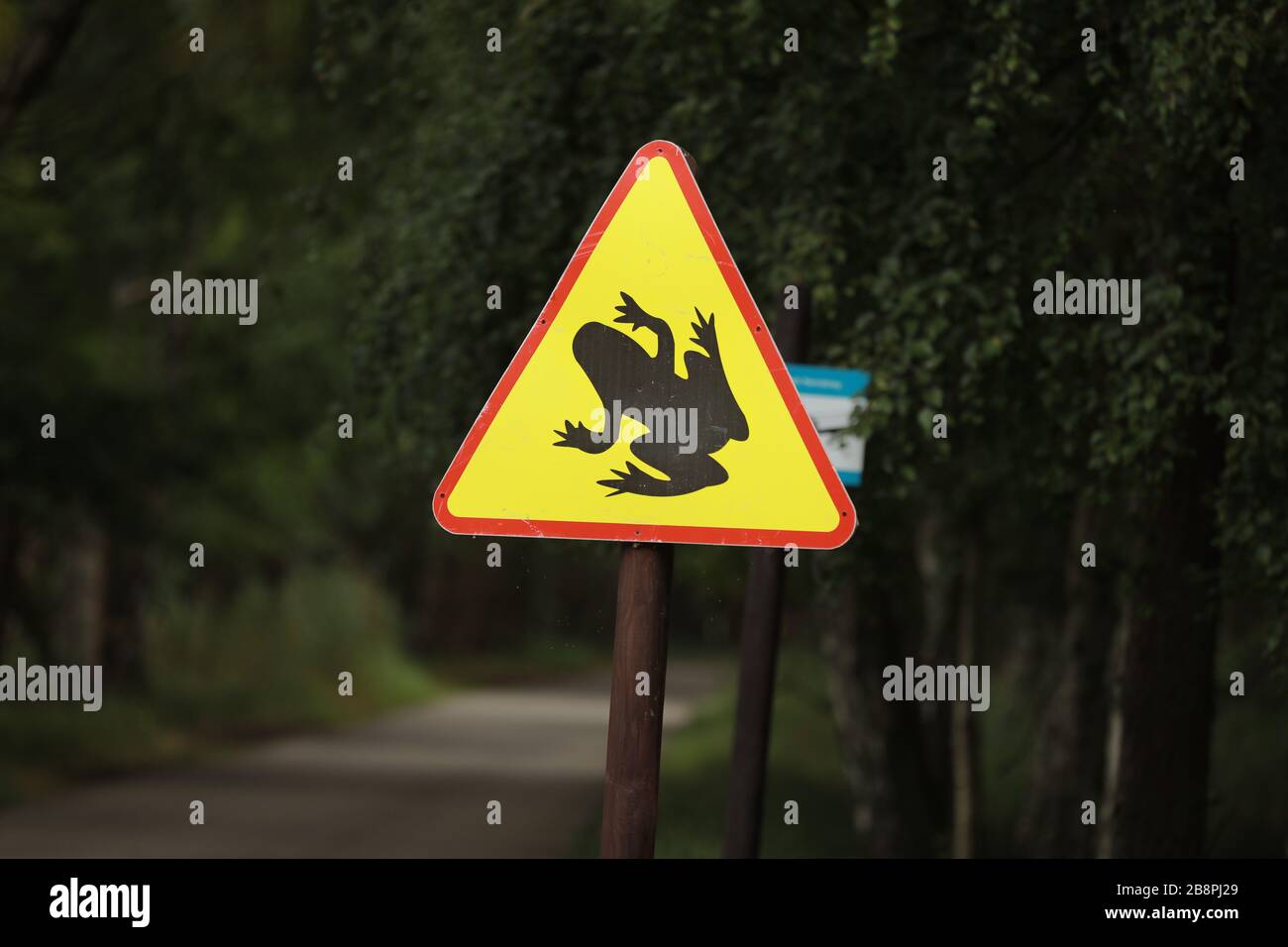 Toad Crossing Sign Germany High Resolution Stock Photography and Images ...