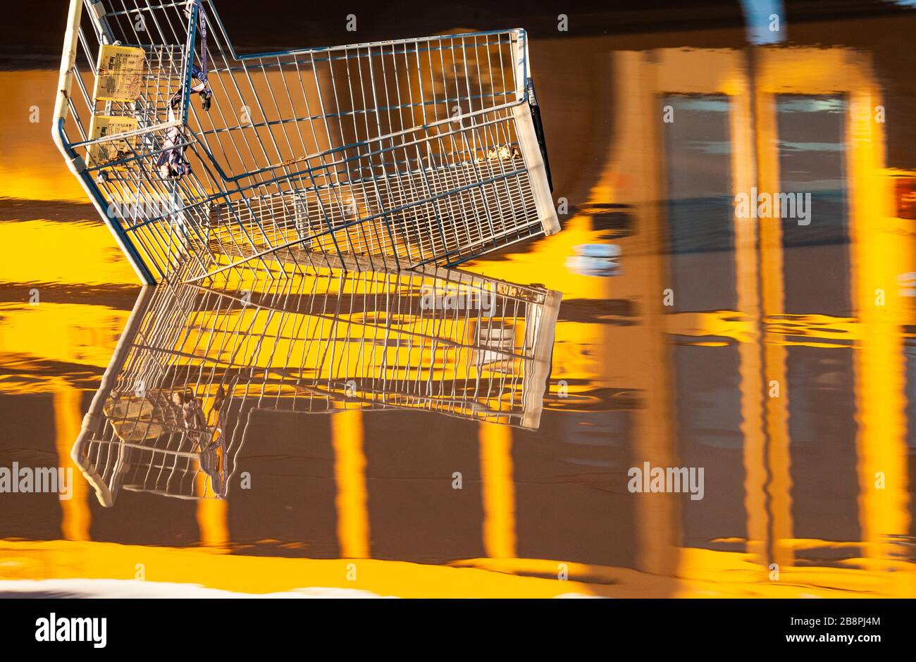 Shopping cart in puddle with school bus in reflection Stock Photo - Alamy