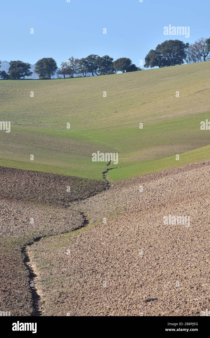 Crack in the ground that goes from the dry field to one with the first ...