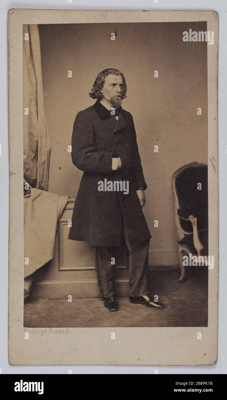 Portrait de renard hi-res stock photography and images - Alamy