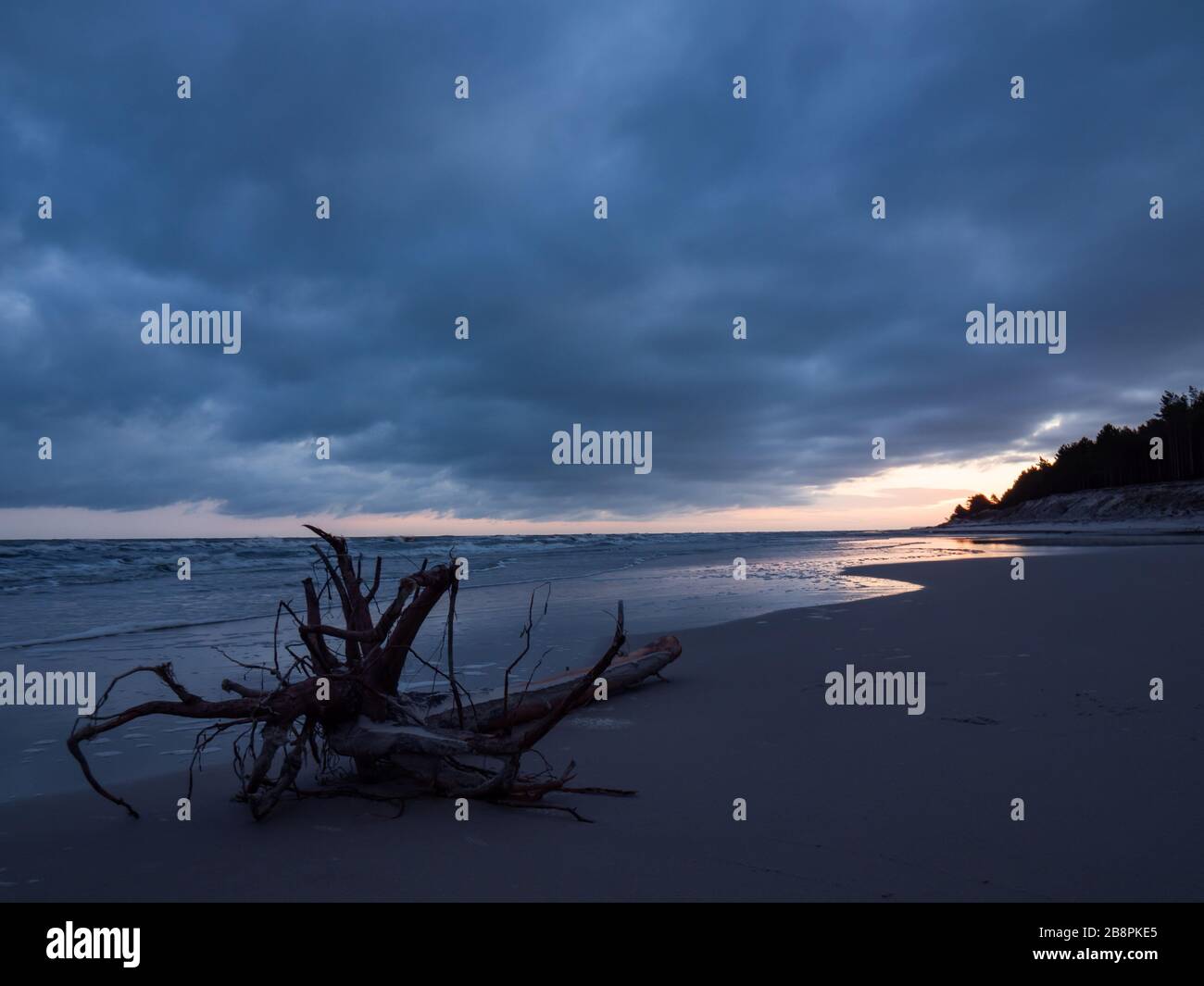 Sunrise at the estuary of the Piasnica River, Poland, Debki. Dramatic ...