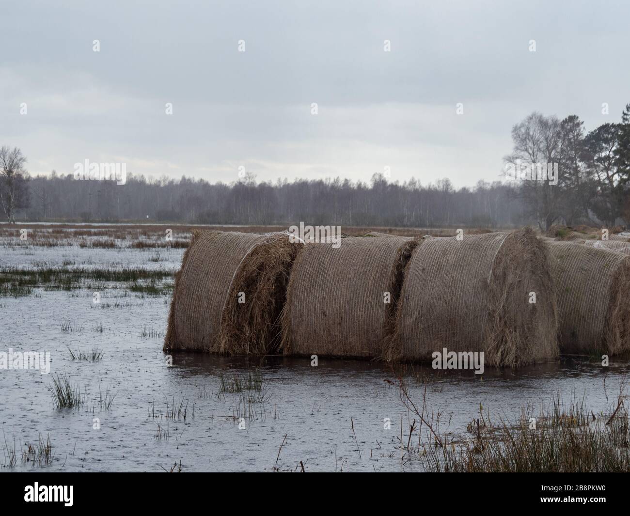 Sheave sheaves hi-res stock photography and images - Alamy