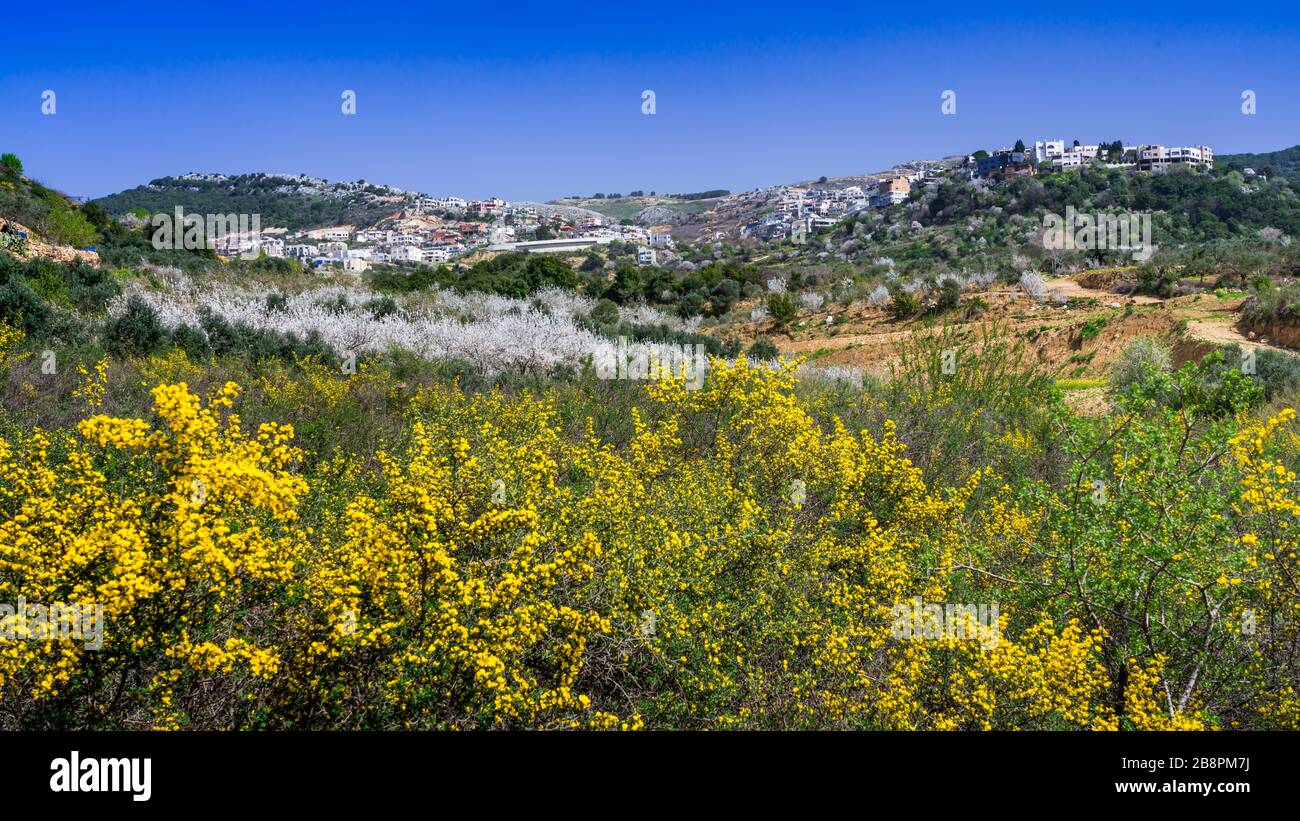 Orchard israel hi-res stock photography and images - Alamy