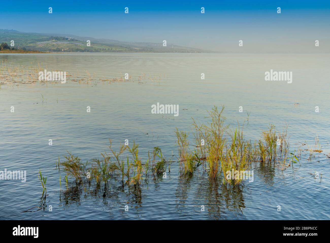 The shoreline of the Sea of Galilee near Nof Ginnosar Kibbutz, Galilee ...