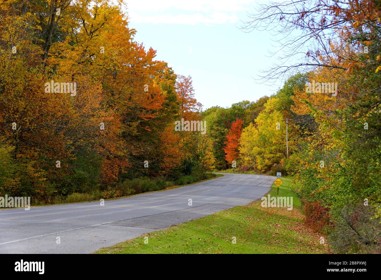 Striking fall foliage on the road near Wellesley Island State Park, New ...