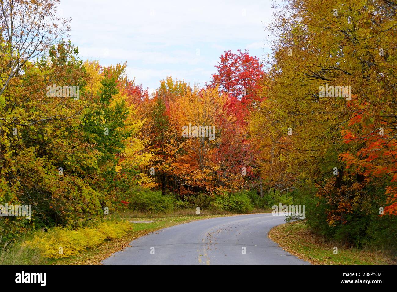 Striking fall foliage on the road near Wellesley Island State Park, New ...