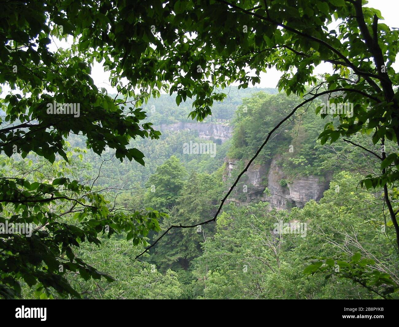 Indian ladder hi-res stock photography and images - Alamy