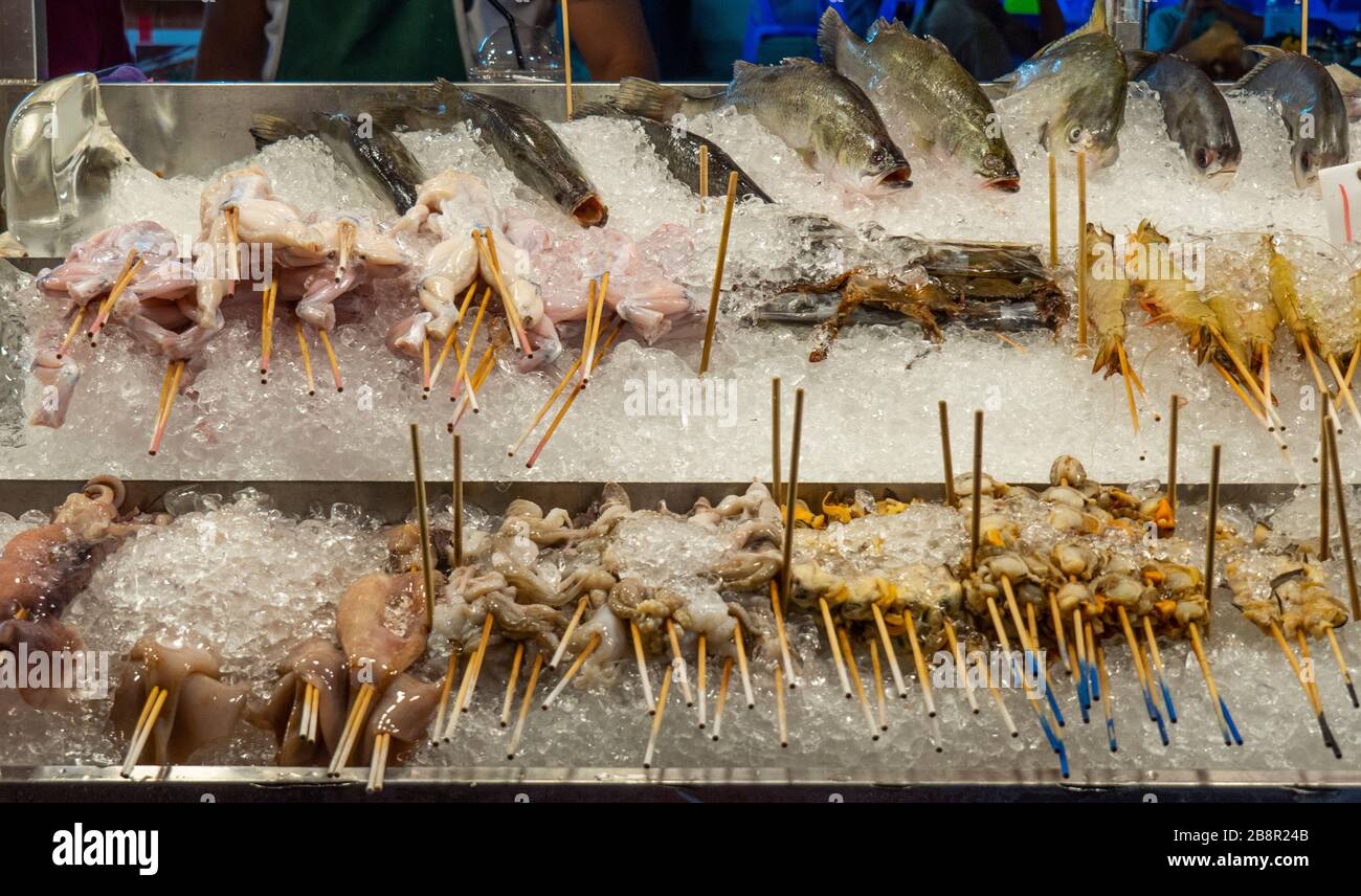 Frog on skewer night hi-res stock photography and images - Alamy